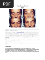 MGFA Classification | PDF