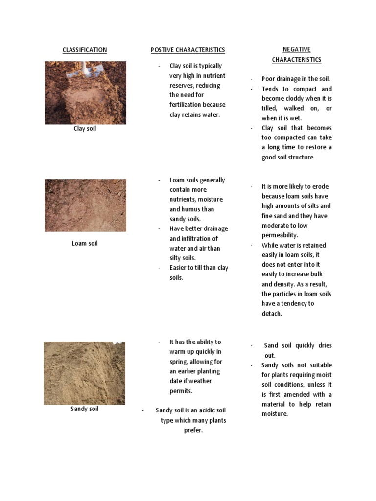 Characteristics Of Loamy Soil The Six Different Types Of Soil | The
