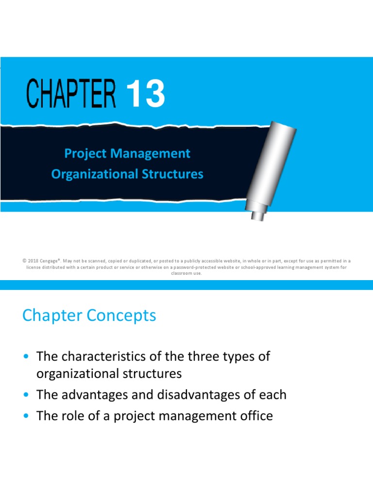 Org and Structure | PDF | Organizational Structure | License