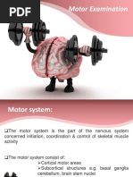 Pyramidal Weakness. Practical Neurology | PDF | Anatomical Terms Of ...
