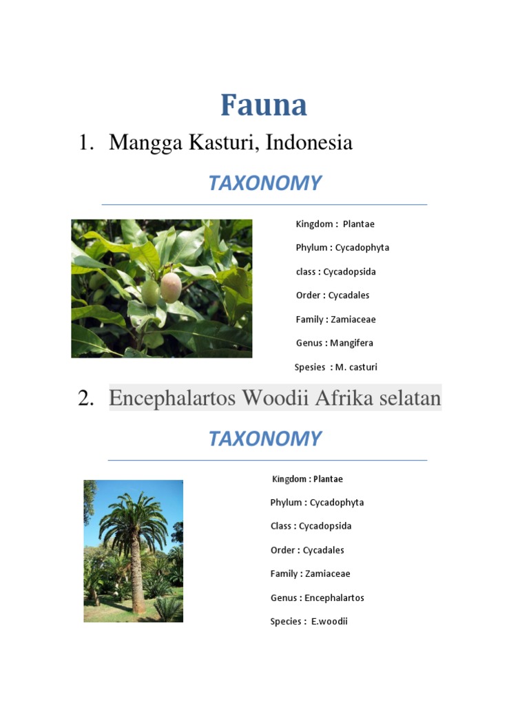 Fauna Taxonomy Kingdoms Phyla Classes Orders Families Genera Species ...