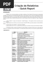 Rave Report No Delphi | PDF | Software de sistema | Programas