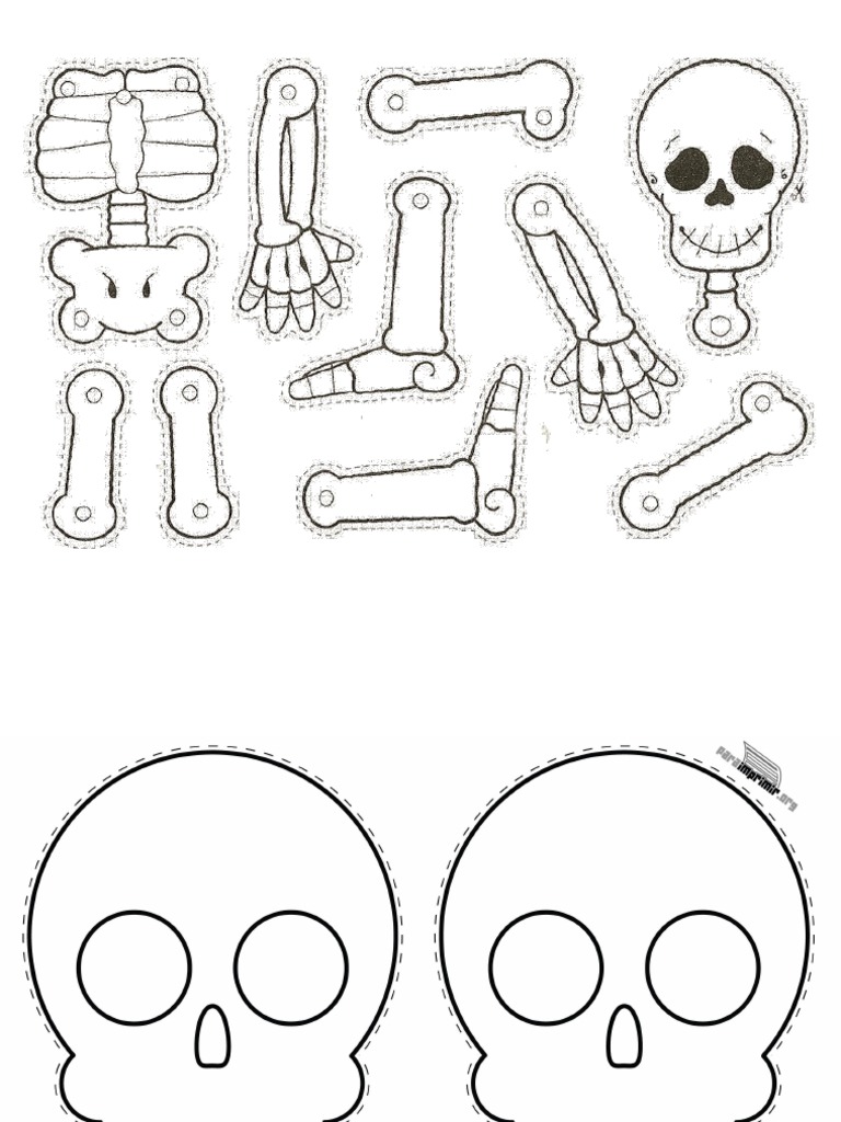 Esqueleto y Calavera Colorear Armable | PDF