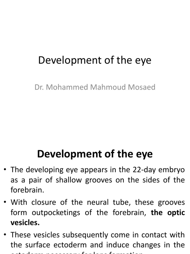 Development of The Eye | PDF | Retina | Cornea