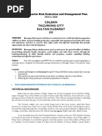CBDRRM Plan Ap | PDF | Emergency Management | Disaster Risk Reduction