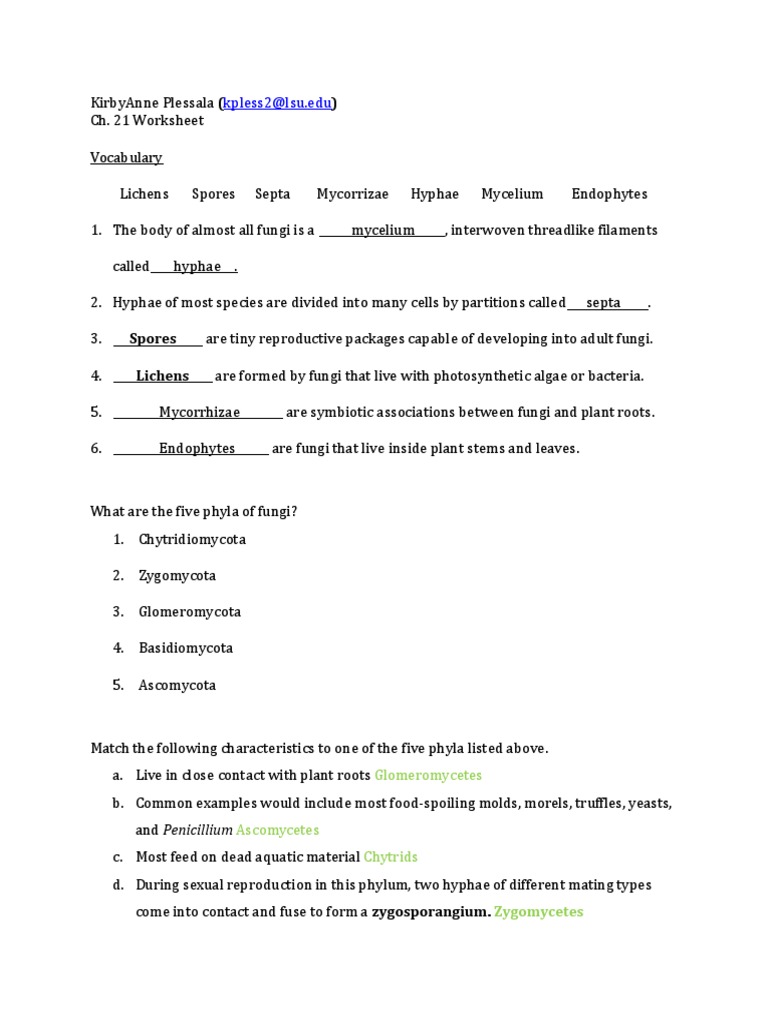 Fungal Phyla Characteristics and Reproduction: A Comprehensive Look at ...