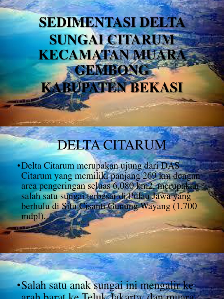Delta Citarum: Sedimentasi dan Erosi | PDF