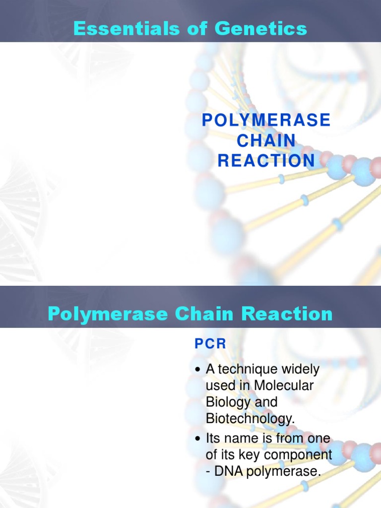 Essentials of Genetics: Polymerase Chain Reaction | PDF