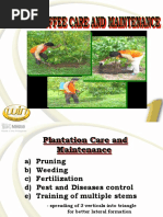 Ang Mangga | PDF
