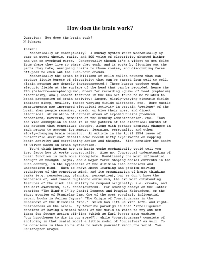 How Brain Works | PDF | Neuron | Axon