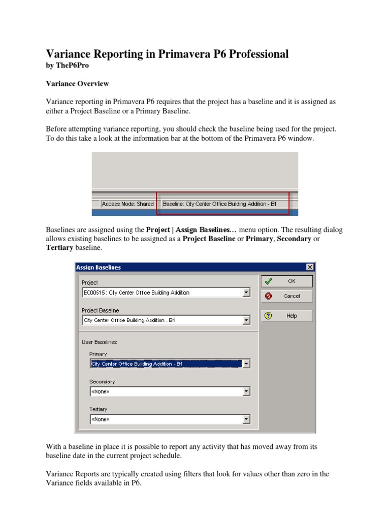 Variance Reporting in Primavera P6 Professional: by Thep6Pro Variance ...