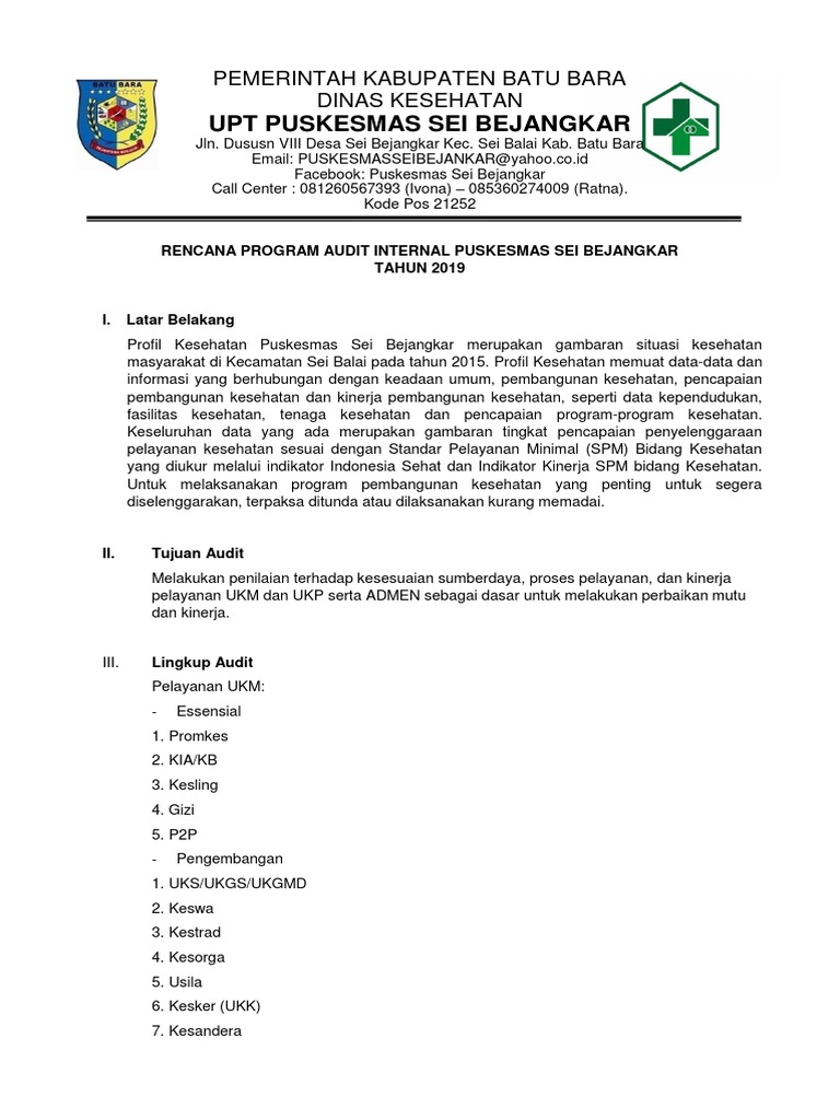 Ruang Lingkup Audit Internal | PDF