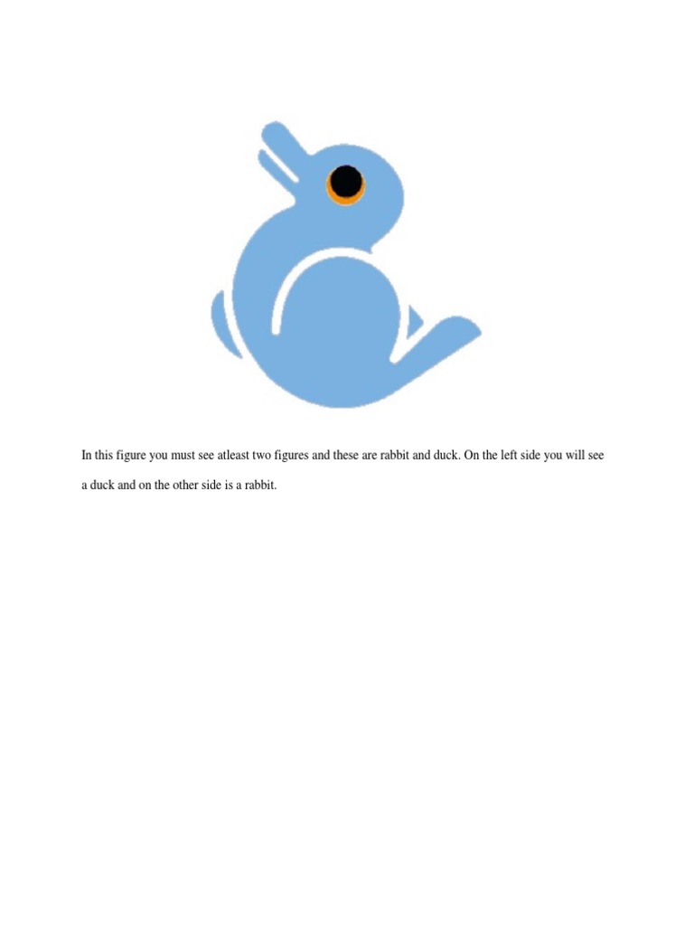 Rabbit-Duck Optical Illusion | PDF