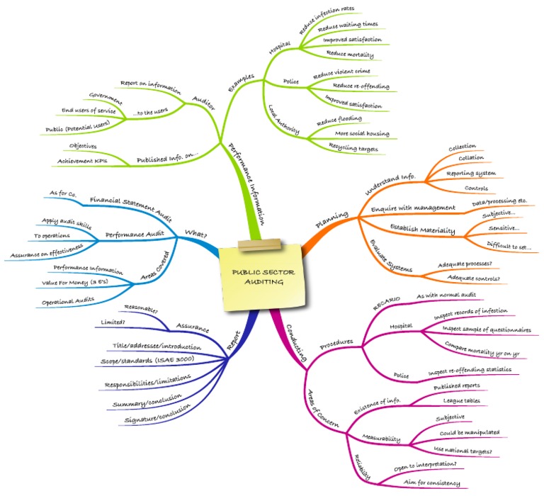 Mind Map 27 - Public Sector Auditing | PDF