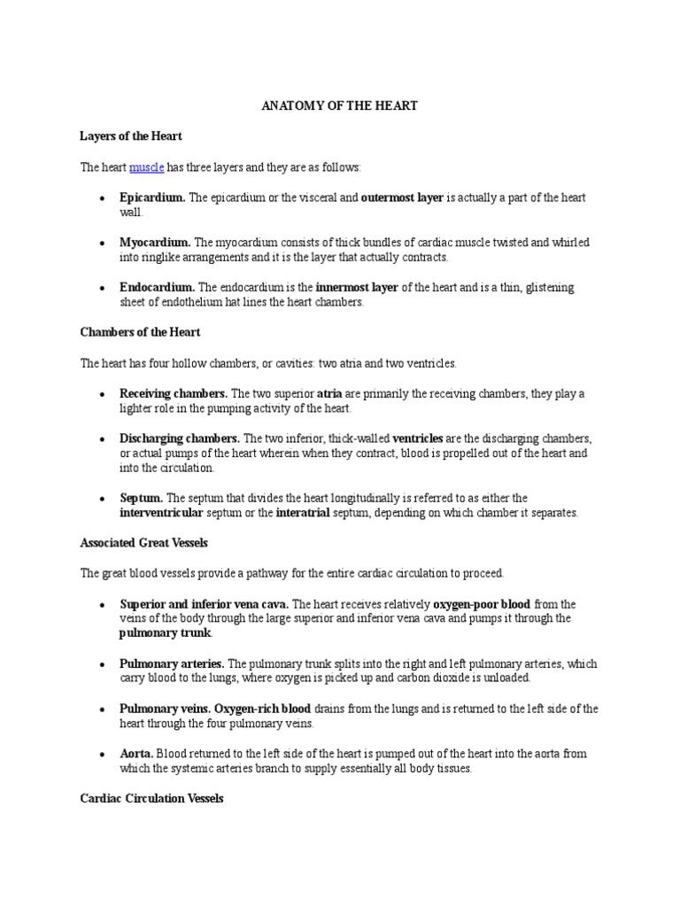 Anatomy of The Heart | PDF | Heart | Atrium (Heart)