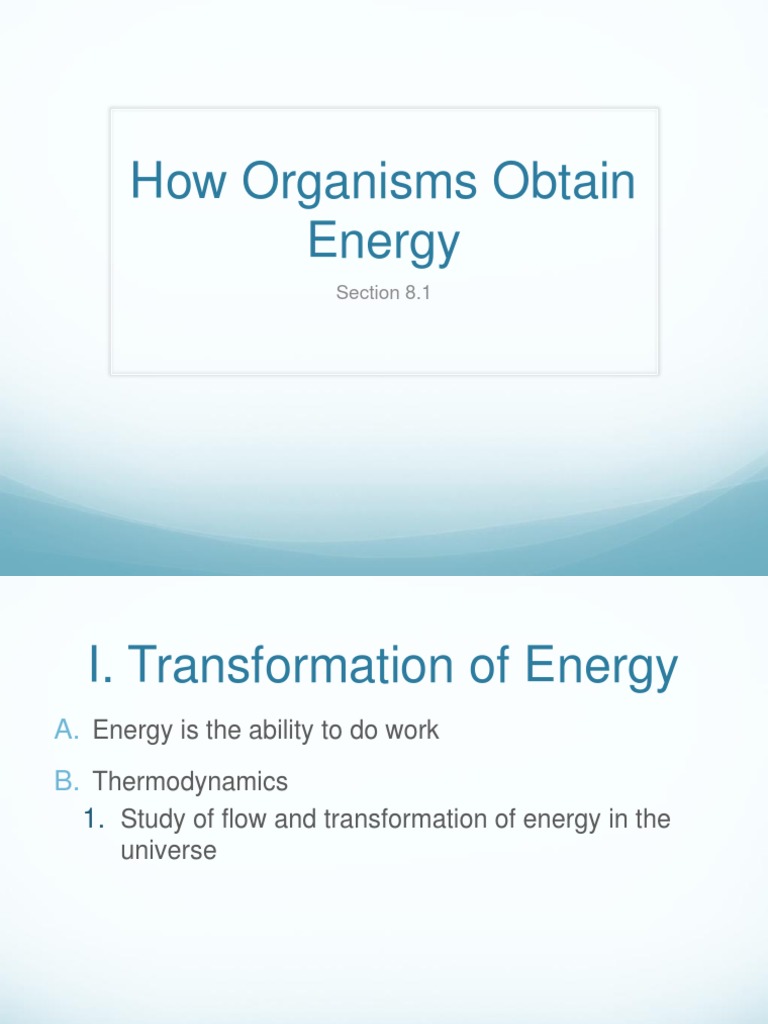How Organisms Obtain Energy | PDF