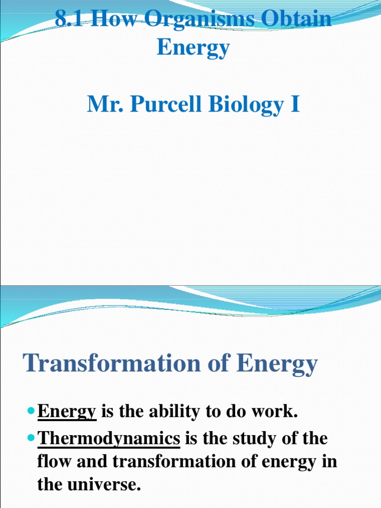 Biology: Energy in Organisms | PDF | Cellular Respiration | Glycolysis