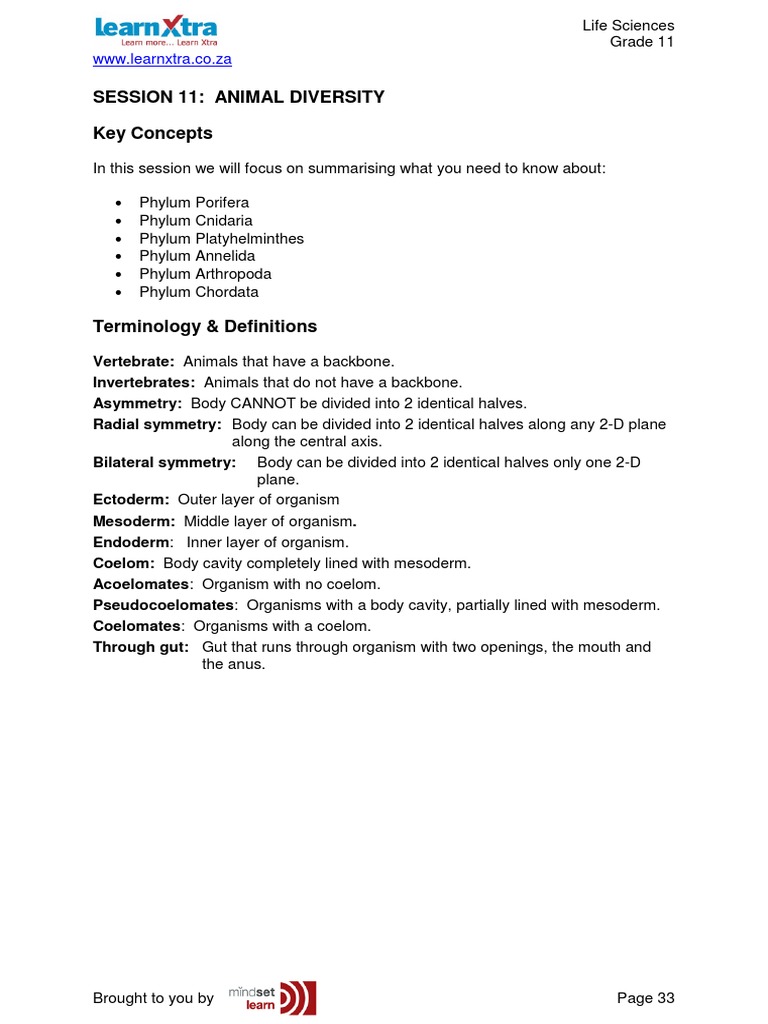 Session 11: Animal Diversity Key Concepts: WWW - Learnxtra.co - Za ...
