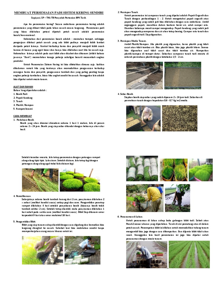 Membuat Persemaian Padi Sistem Kering Sendiri | PDF