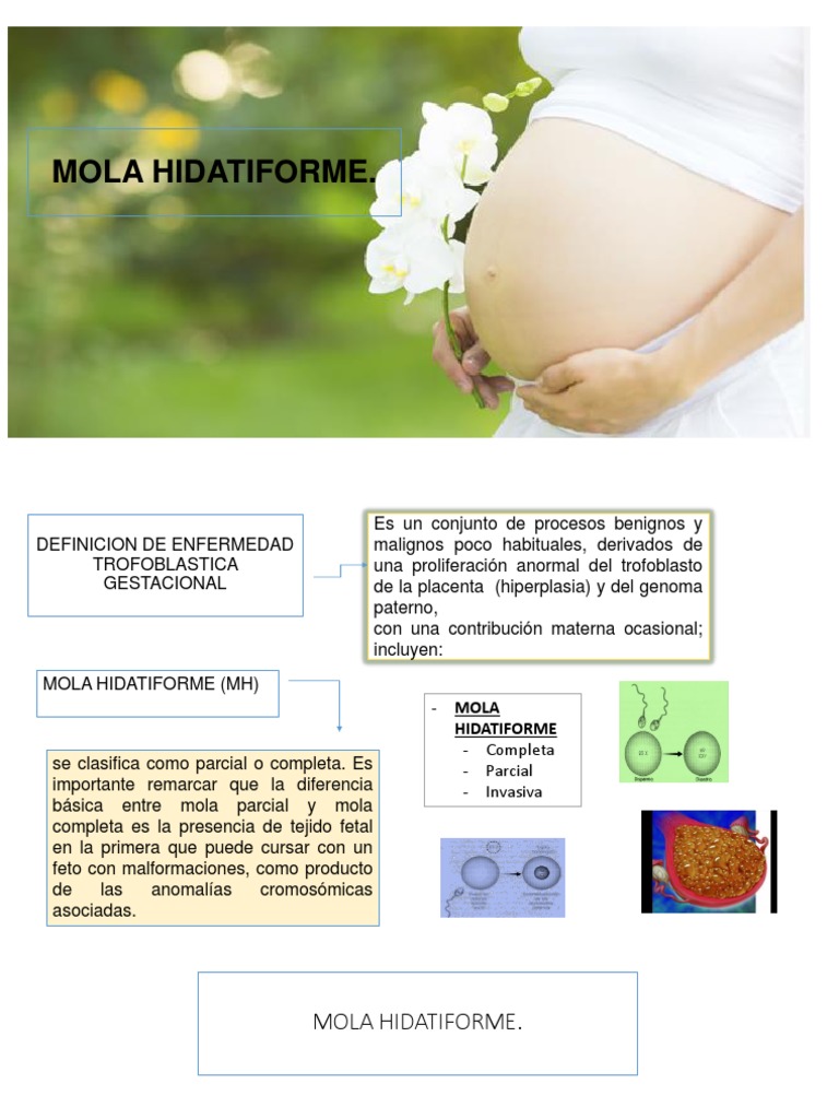 Mola Completo | PDF | Reproducción | Anatomía