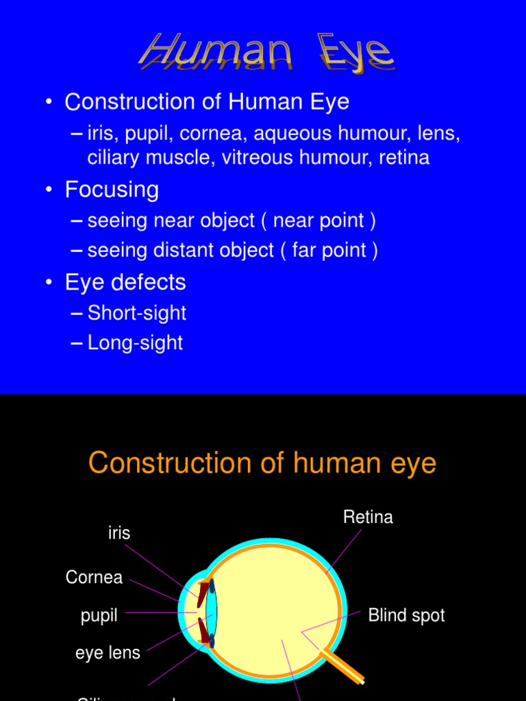 Construction of Human Eye | PDF | Human Eye | Lens (Optics)