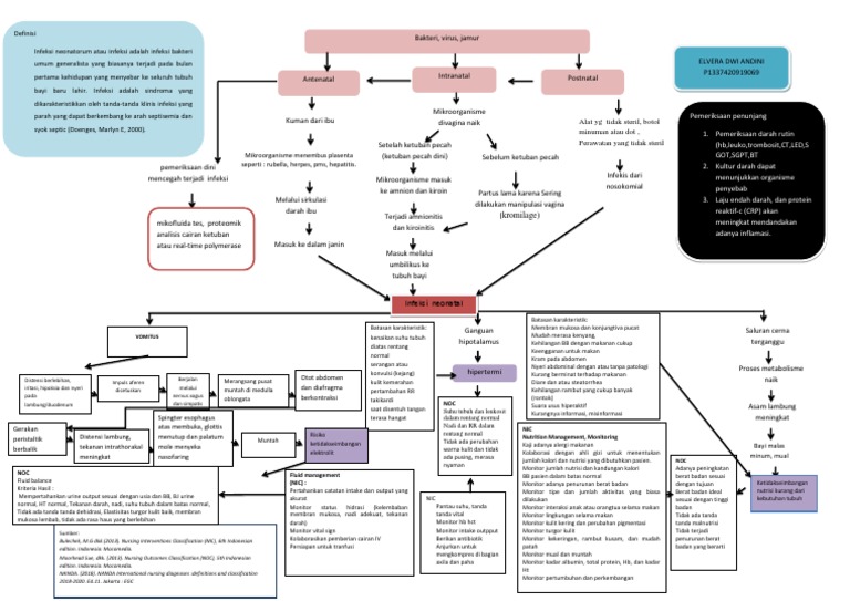 Woc Ni, Vomitus | PDF