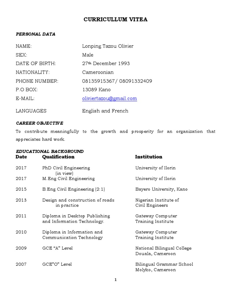 Curricullum Vitea: Personal Data | PDF | Concrete | Engineering