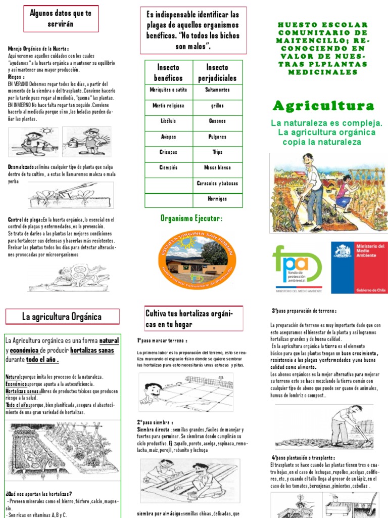 Triptico Huerta Organica | PDF | Agricultura ecológica | Siembra