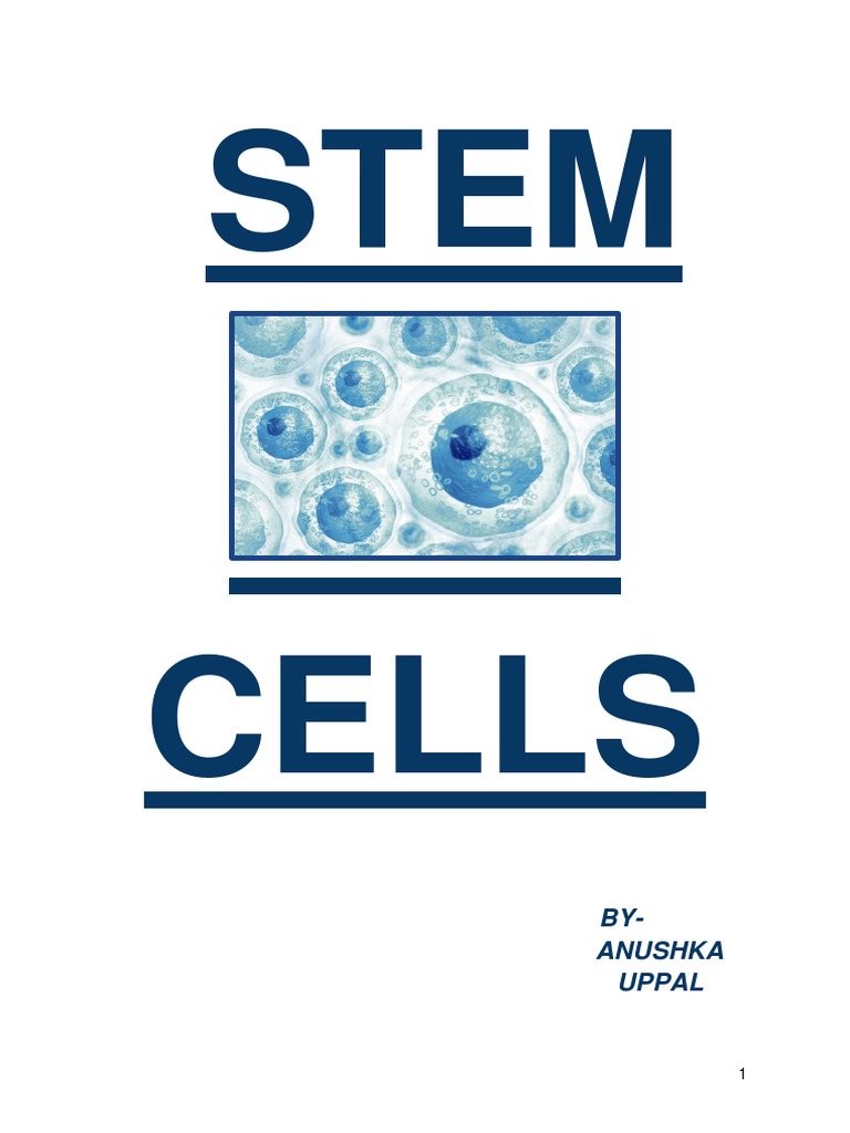 Stem Cells | PDF | Cell Potency | Stem Cell