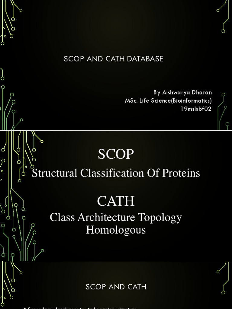 SCOP and CATH Database | PDF | Protein Domain | Computational Biology