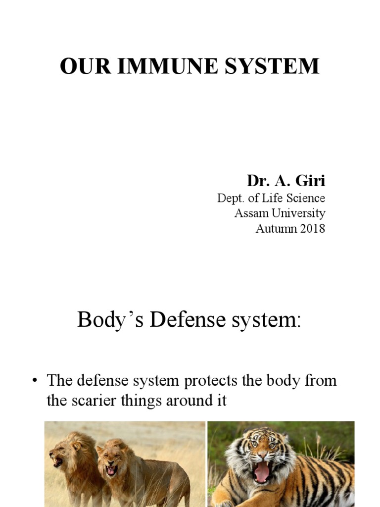 Understanding the Immune System | PDF | Lymphatic System | Immune System
