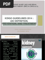 KDIGO Guidelines for Acute Kidney Injury | PDF | Organ (Anatomy ...