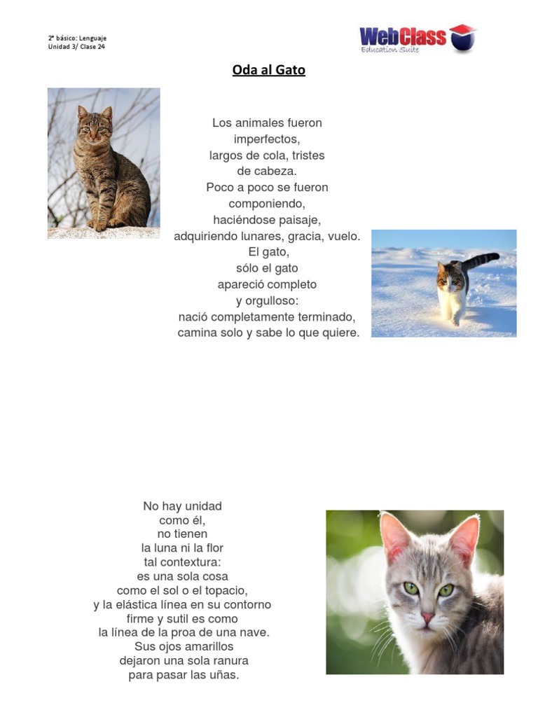Oda al Gato: Clase de Lenguaje | PDF