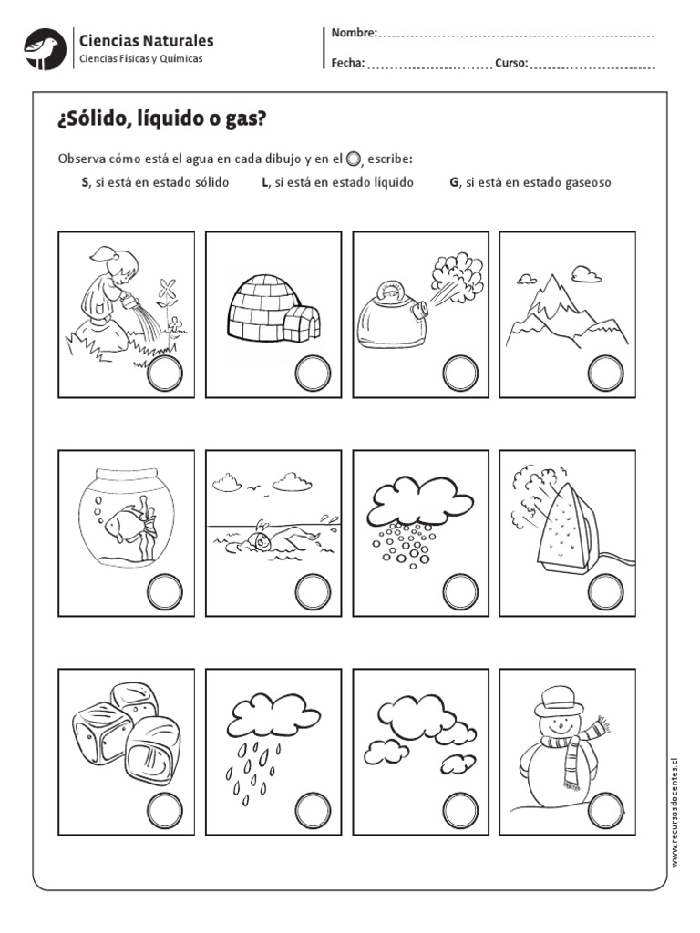 Identificar Estados de La Materia PDF | PDF