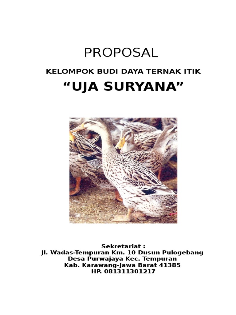 Proposal Budi Daya Ternak Itik Sumber Tani 2010 | PDF