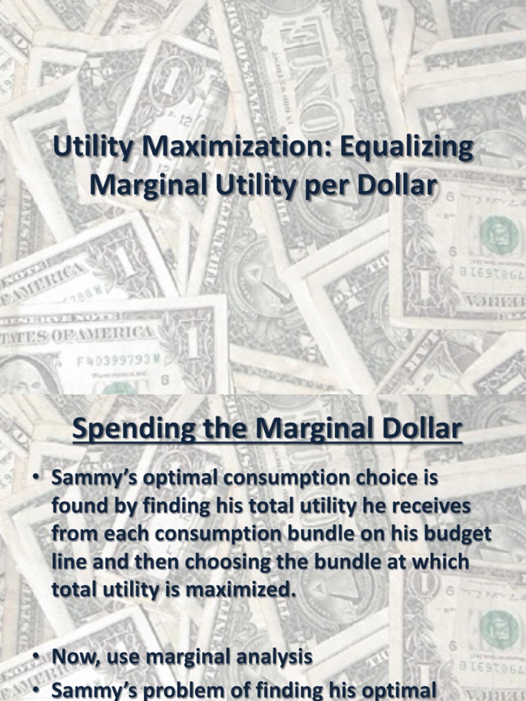 Utility Maximization | PDF | Utility | Marginal Utility