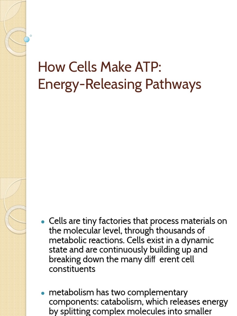How Cells Make ATP | PDF | Cellular Respiration | Adenosine Triphosphate