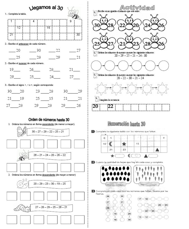 Numeros Hasta 30 | PDF