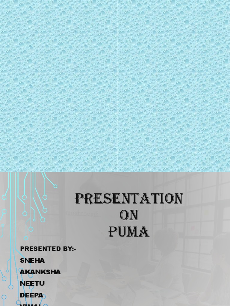 Presentation On Puma | PDF