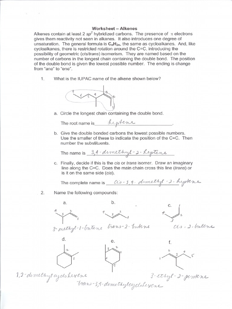 Worksheet Alkene Answers PDF | PDF