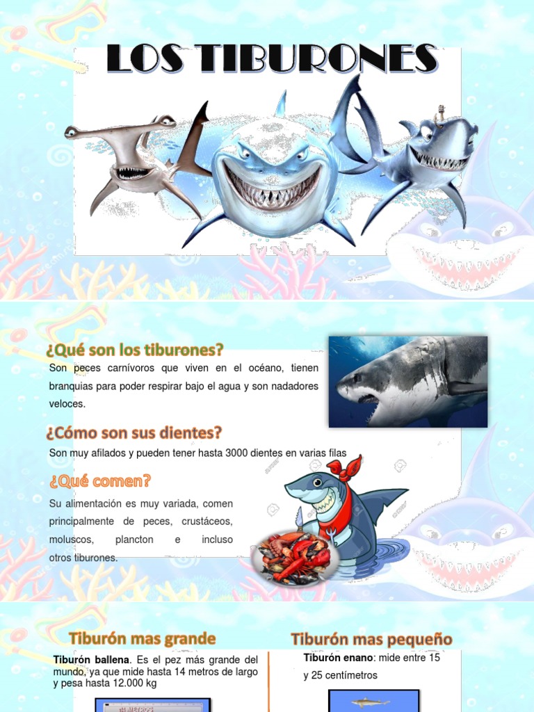 Exposicion Tiburones para Preescolar | PDF | Tiburones | Gran tiburón ...