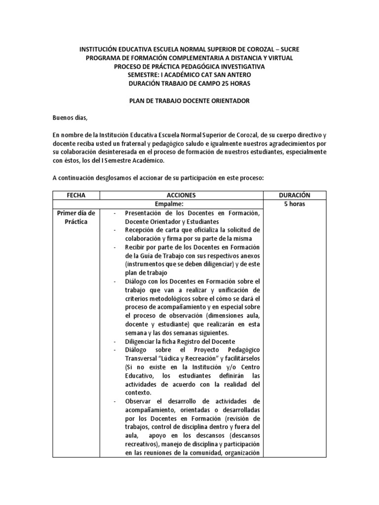 Plan de Trabajo Docente Orientador | PDF | Enseñando | Maestros