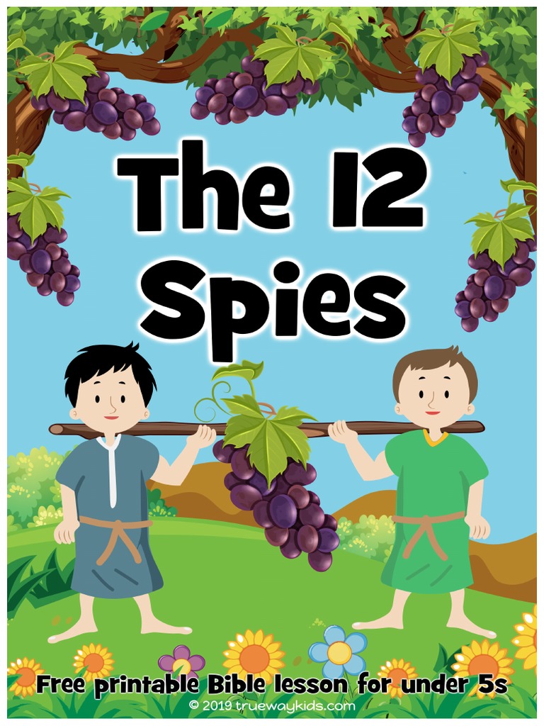 The 12 Spies | PDF