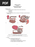 Triadan Tooth Numbering Guide | PDF