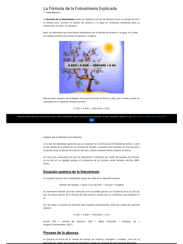 La Fórmula de La Fotosíntesis Explicada | PDF | Fotosíntesis | Plantas