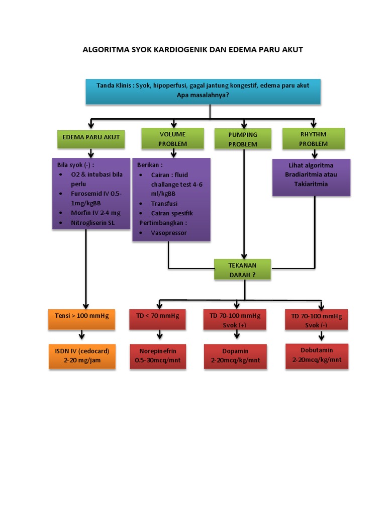 Algoritma Syok Kardiogenik dan Edema Paru | PDF