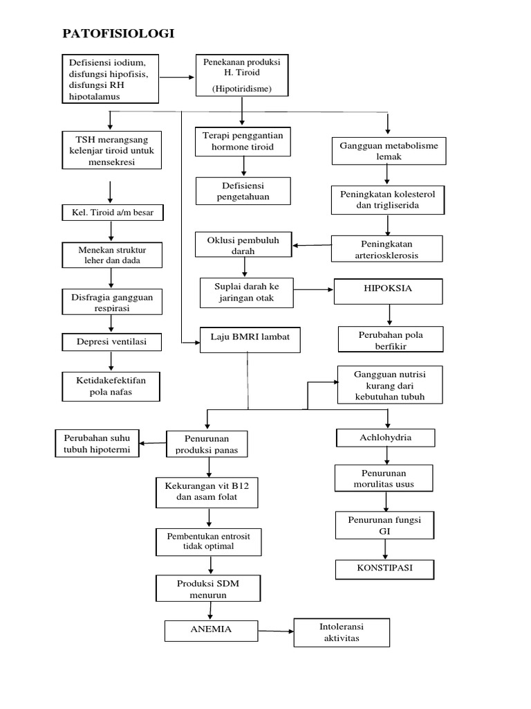 Patofisiologi Hipotiroidisme dan Dampaknya | PDF