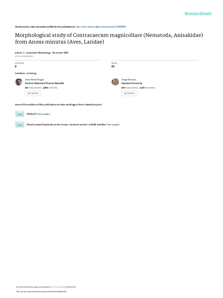 Morphological Study of Contracaecum Magnicollare (Nematoda, Anisakidae ...