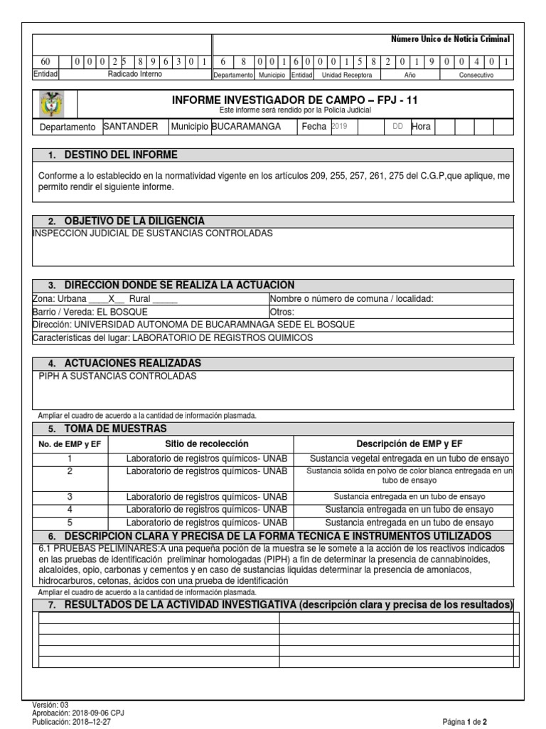 FPJ 11 Informe Investigador de Campo V 0 | PDF | Naturaleza