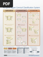AOSpine Thoracolumbar Injury Classification | PDF | Vertebra ...
